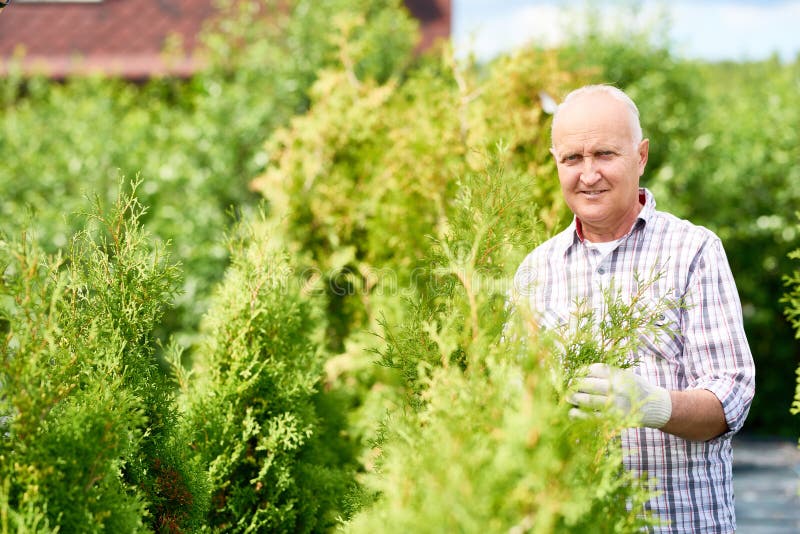 Nice Old Man Working in Garden Stock Photo - Image of farmer, mature ...