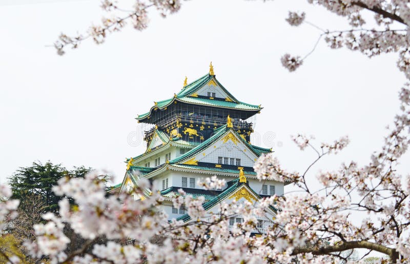 Nice Osaka Castle stock photo. Image of water, kansai - 43557564