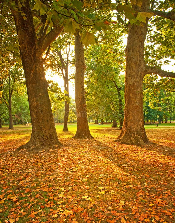 Nice park stock photo. Image of landscape, season, fall - 22618408