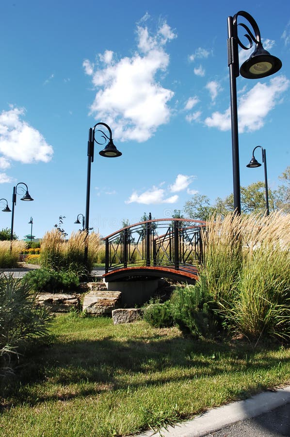 Nice park in the city. stock photo. Image of outdoors - 7733444