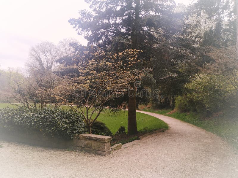 Nice park with a path stock photo. Image of path, park - 248400276