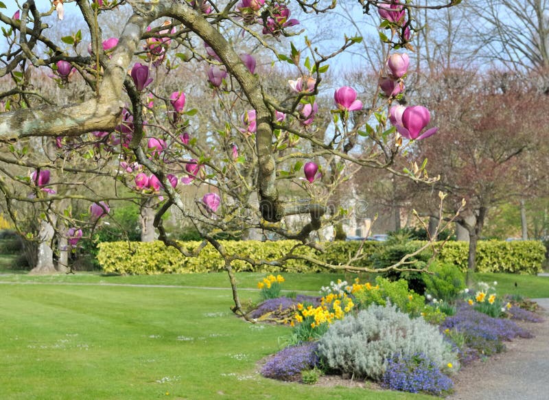 Nice park in spring stock photo. Image of nice, vegetation - 47578958