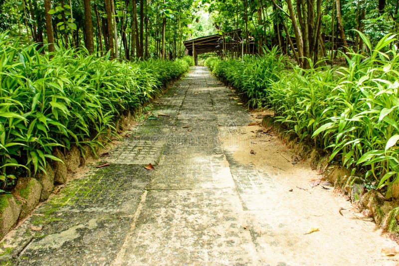 Nice Pathway for Walking and Relax Stock Image - Image of outdoor ...