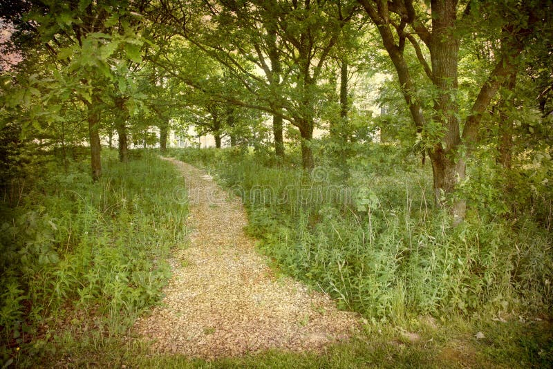 Nice pathway stock image. Image of horizontal, denmark - 7732101