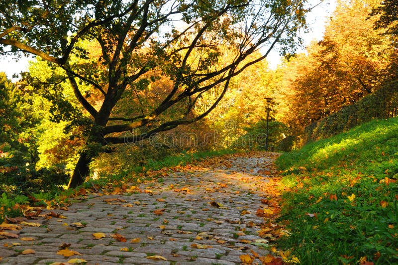 Nice Pathway in the City at Autumn Stock Photo - Image of autumn, color ...