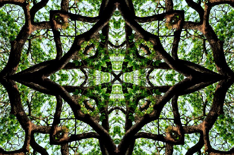 Nice Pattern Graphic Background of Leaf and Tree Canopy Stock ...