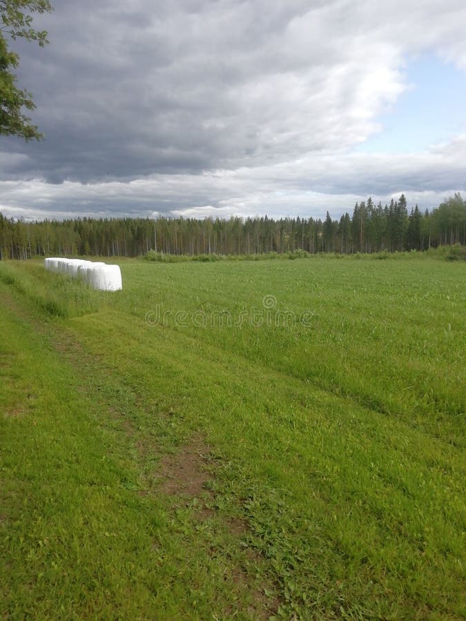 Nice Peaceful Green Field! :& X29; Stock Image - Image of field, nice ...