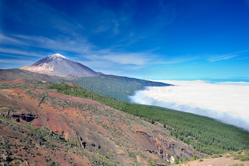 Teide stock photo. Image of cypresses, mountain, pines - 9217012