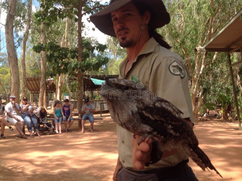 A Nice Place To Look at and a Great Holiday Editorial Photo - Image of ...