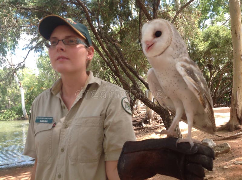 A Nice Place To Look at and a Great Holiday Editorial Image - Image of ...