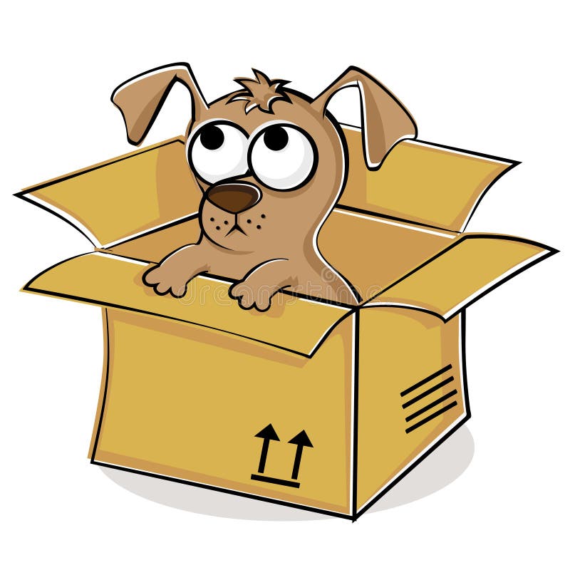 Nice puppy in box stock vector. Illustration of homeless - 20237258