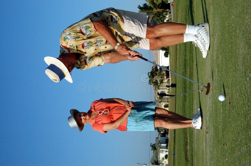 Nice putt stock image. Image of exercise, happy, partner - 842819