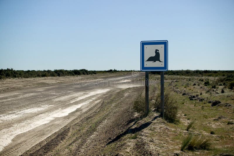 Nice rare road sign stock photo. Image of white, precaution - 4848756