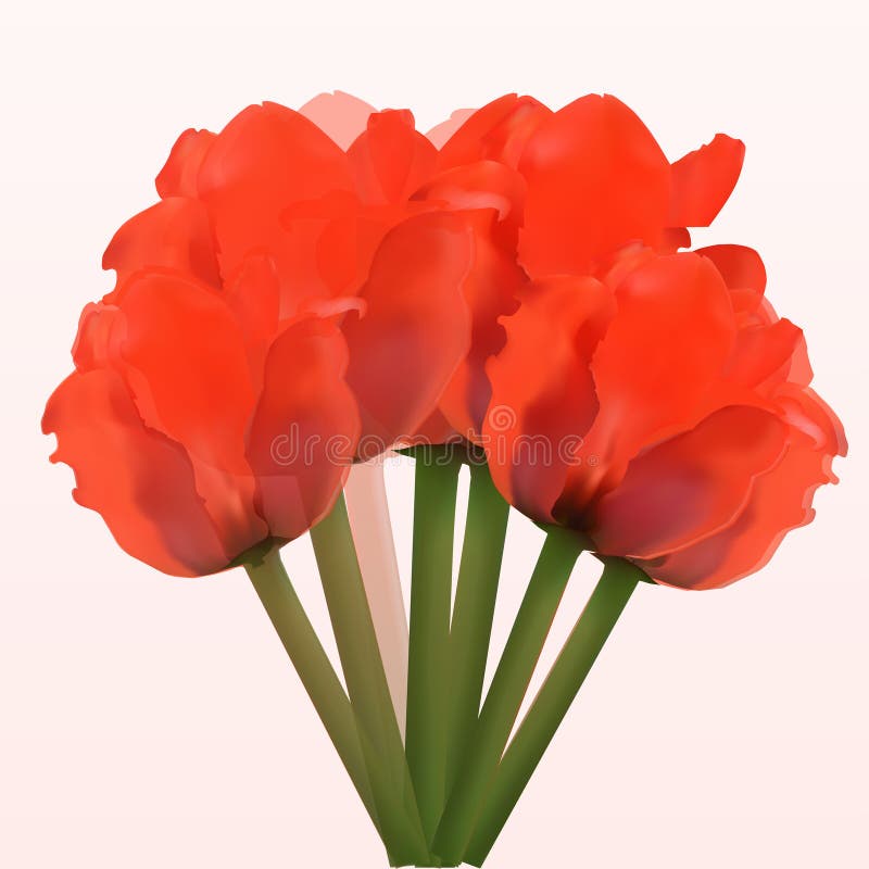 Nice red spring bouquet stock vector. Illustration of flowers - 37533581