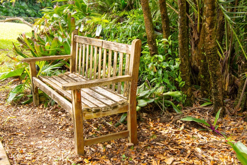 Nice Resting Bench in a Beautiful Florida Park Stock Photo - Image of ...