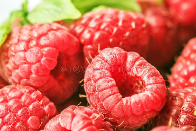 Nice ripe raspberries stock image. Image of vegetarian - 86155651