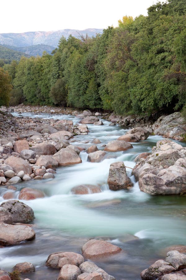 Nice River with Clear Water Flowing Stock Photo - Image of cool ...