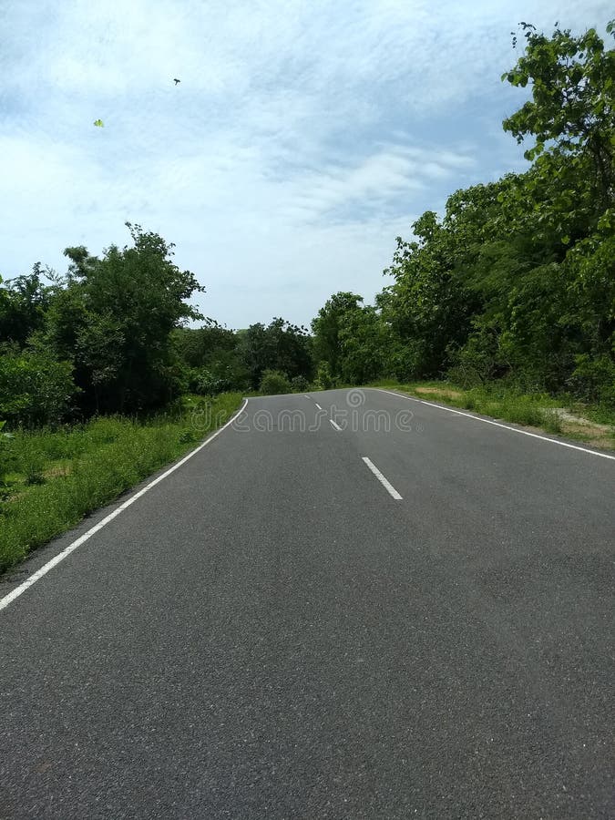Road way stock image. Image of nice, cool, trees, road - 125071987