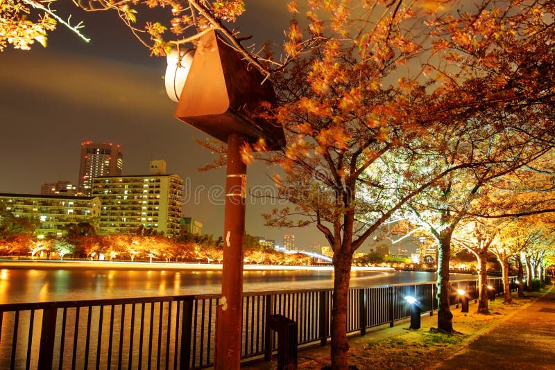 Nice Sakura beside the River, Japan Stock Image - Image of asia, flower ...