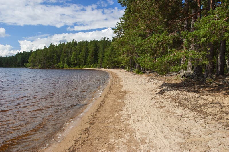 Nice Sand Beach at a Forest Stock Photo - Image of remote, beautiful ...