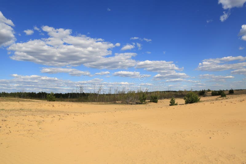 Sandy desert landscape stock image. Image of pattern - 117313389