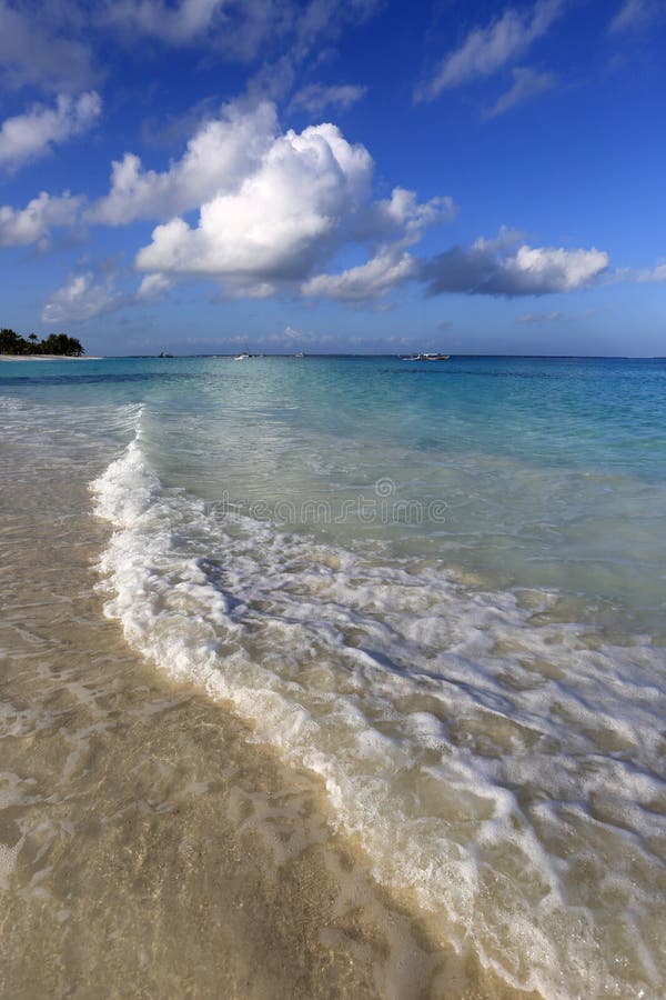 Nice sandy ocean shore stock image. Image of island - 144531505