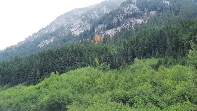 Nice Scene Beautiful Greenery on the Mountains. Stock Image - Image of ...
