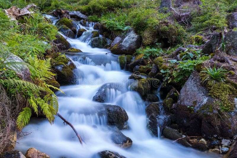 Nice mountain brook stock photo. Image of stone, flow - 124339936