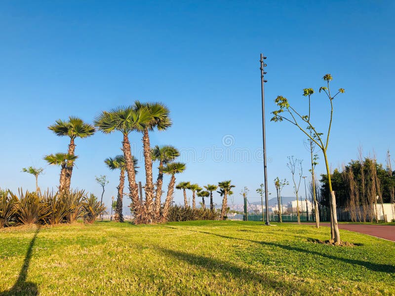 Nice Scene in a Public Park Stock Photo - Image of beauty, harmonious ...