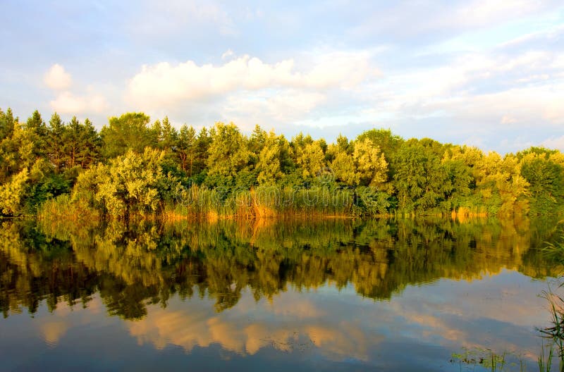 Nice scene on river stock photo. Image of outdoor, leaf - 17422718