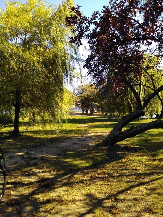 Nice scenery stock image. Image of beautiful, scenery - 102069525