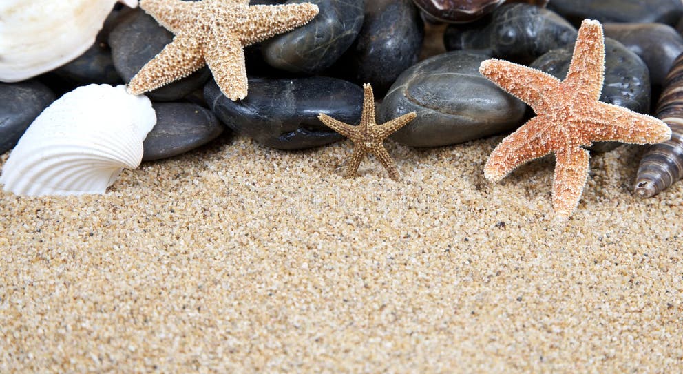 8,966 Sandy Beachlei Border Stock Photos - Free & Royalty-Free Stock ...