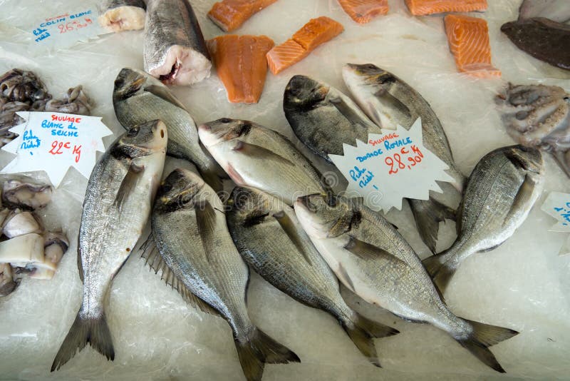 Nice - Seafish on the Fish Market Stock Photo - Image of organic, eyes ...