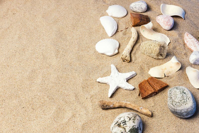 Seashell stock image. Image of caribbean, star, aquatic - 45279445