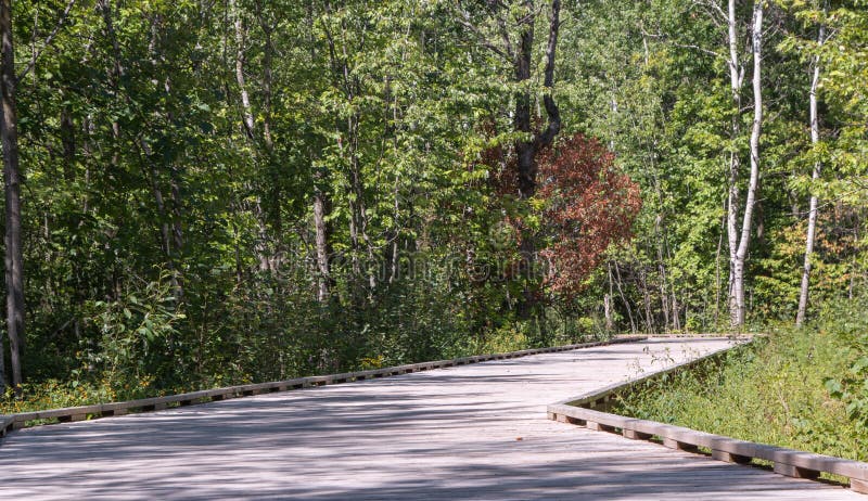 Wood Path in a Protected Zone Stock Photo - Image of adventure, park ...