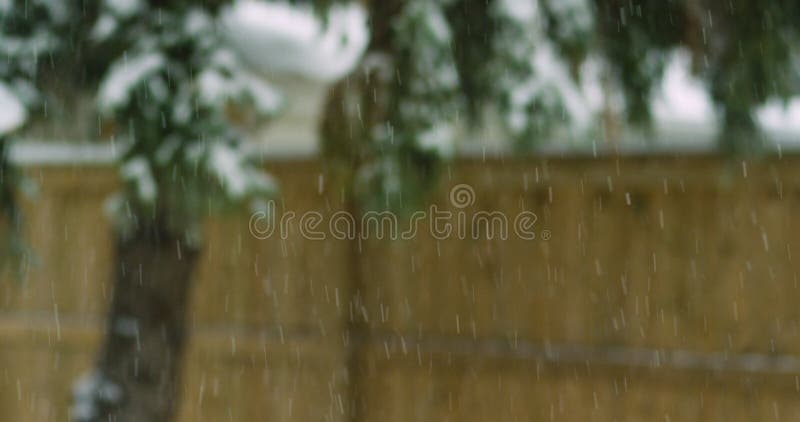 Shallow Depth of Field Snow Falling Stock Video - Video of weather ...