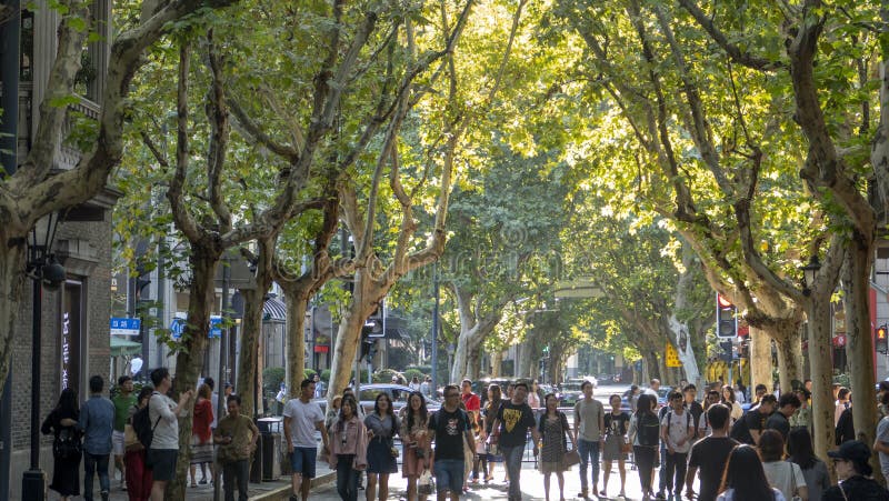 Nice Shanghai Stree View during Long Holidays in Shanghai on Oct ...