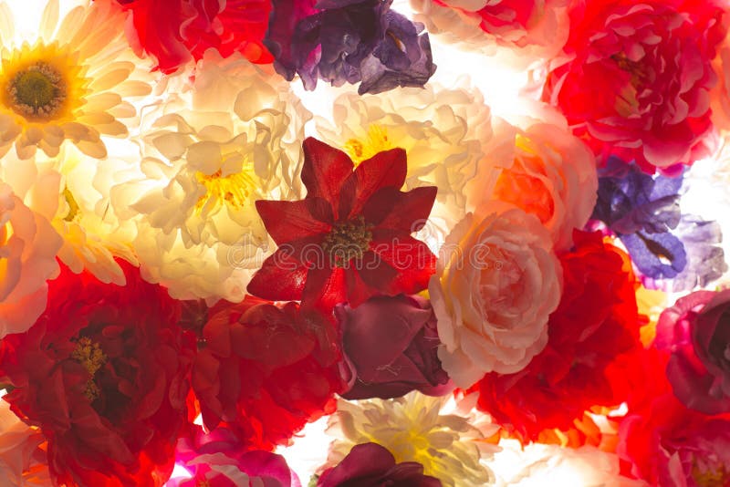 Nice Shot of the Bunch of the Flowers Stock Image - Image of romance ...