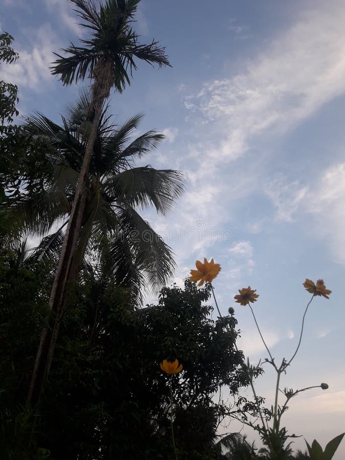 Summer Noon in a Mountain Village Stock Photo - Image of people ...