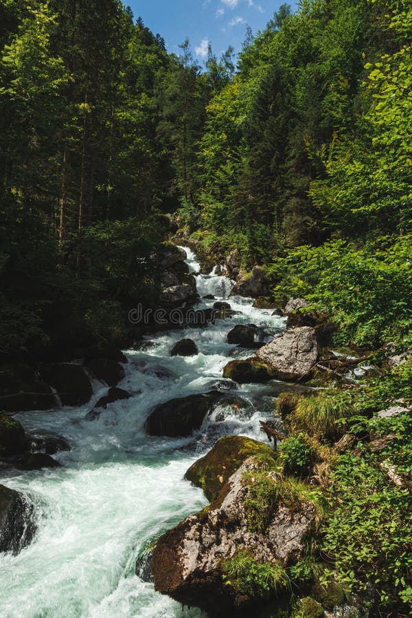 Nice Small River with Stone and Trees Flow through Valley. Austria Alps ...