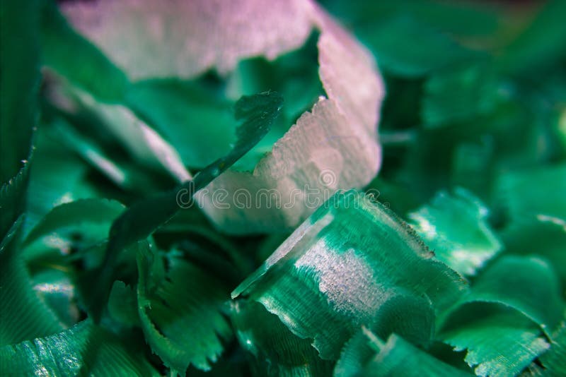 Nice and smooth wax flakes stock image. Image of plant - 214025599