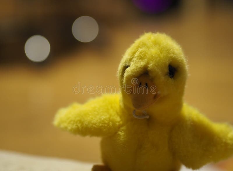Nice, soft duck stock photo. Image of nice, soft, plush - 192235464