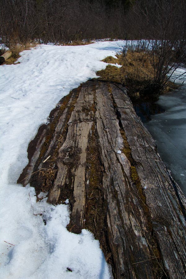 Nice Spring Landscape, Mixture of Water and Ice, in the Canadian Forest ...