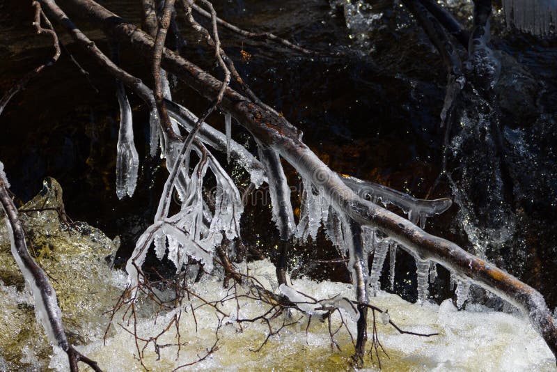 Nice Spring Landscape, Mixture of Water and Ice, in the Canadian Forest ...