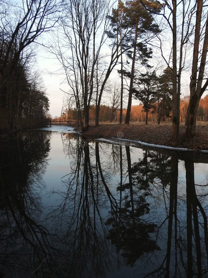Beautiful Trees Near River in Evening, Lithuania Stock Image - Image of ...