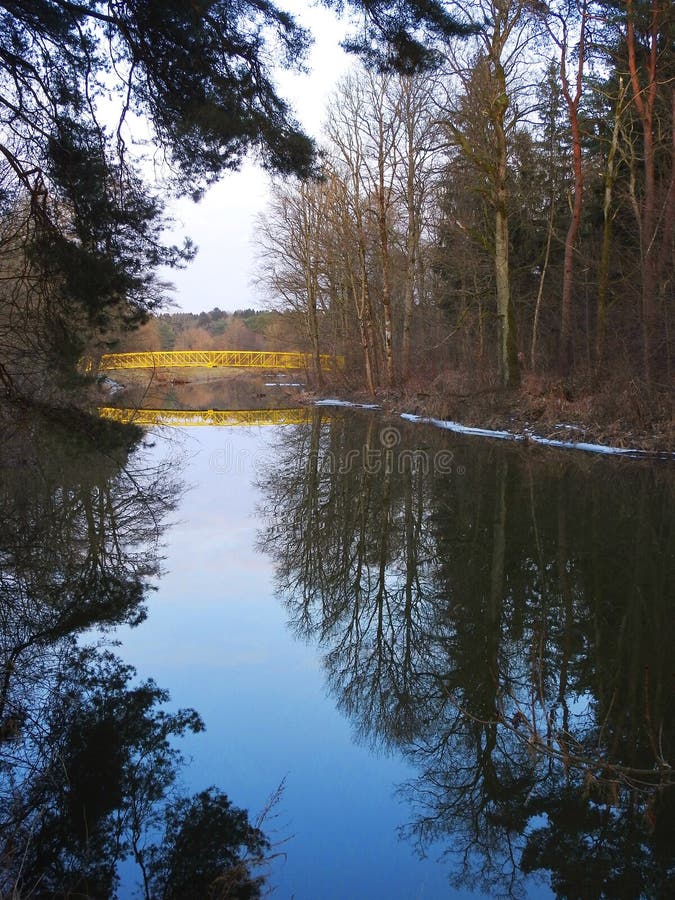 Beautiful Trees Near River in Evening, Lithuania Stock Photo - Image of ...