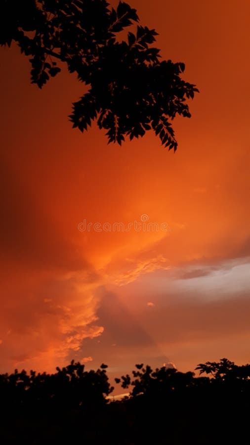 Nice summer sunset stock photo. Image of summer, nice - 262845258