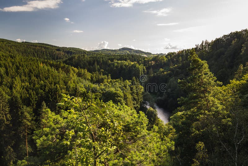 Nice Summer Valley with Vltava River and Trees, Czech Republic Stock ...
