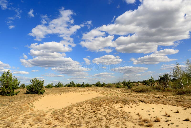 Nice sunny day in desert stock photo. Image of landscape - 117313550