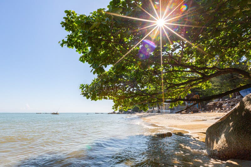 Sunray by the beach stock image. Image of nice, morning - 247250215